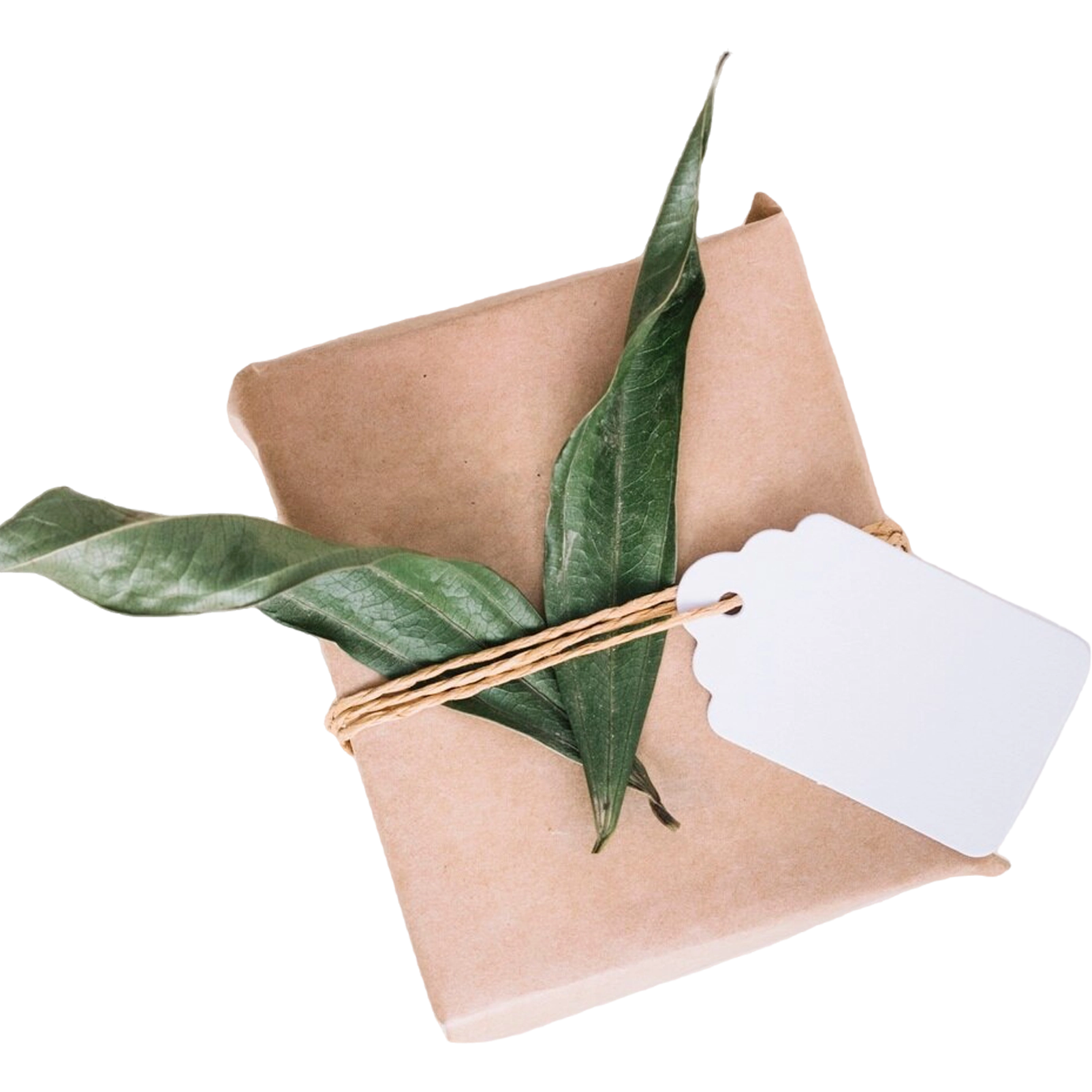 Leafscape - Leafscape